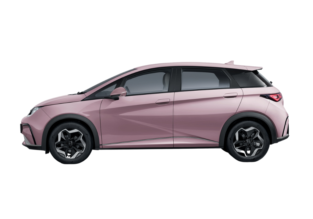 BYD Dolphin - Coral Pink | BYD Auto - BYD Việt Nam - BYD Oway Sài Gòn